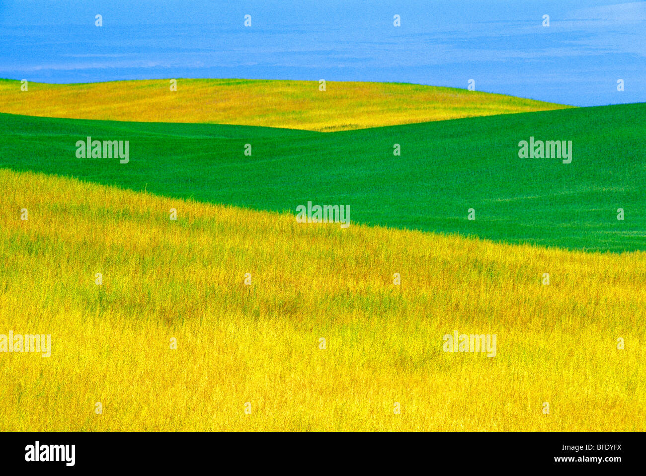 Prairie landscape, Parkbeg, Saskatchewan, Canada Stock Photo - Alamy