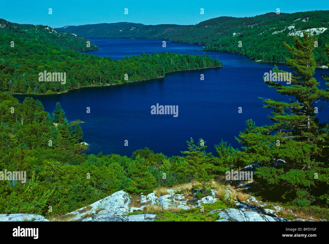 O.S.A. (Ontario Society of Artists) community, lake from top of ...