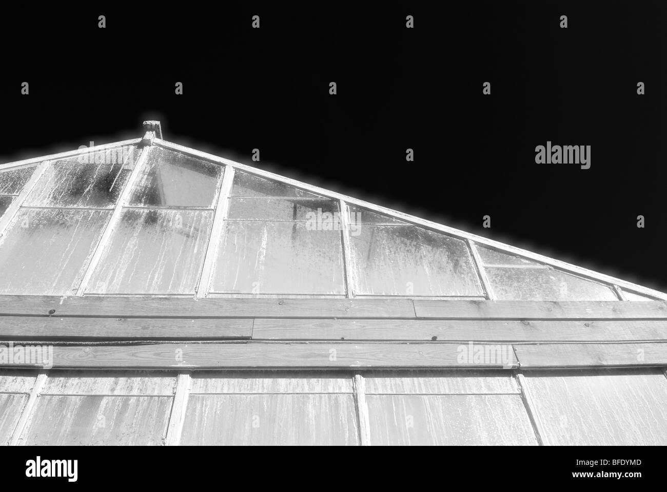 Summer greenhouse Black and White Stock Photos & Images - Alamy