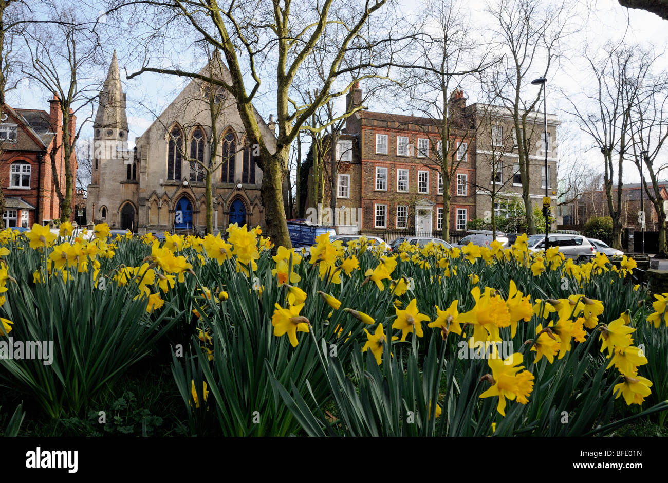 Daffodils Pond Square Highgate Village London England UK Stock Photo ...