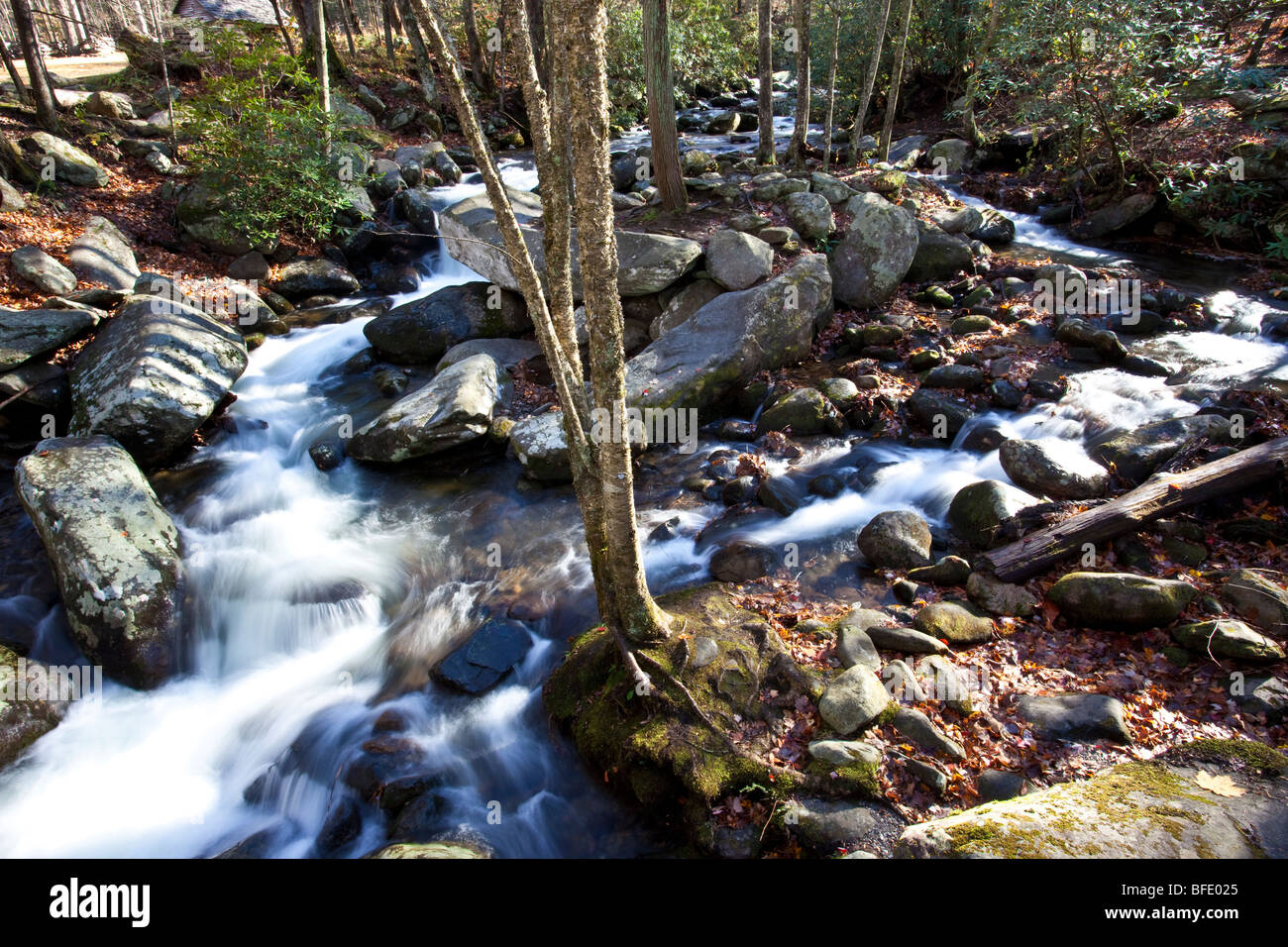 Creek, Roaring Fork Motor Nature Trail, Great Smoky Mountains National ...