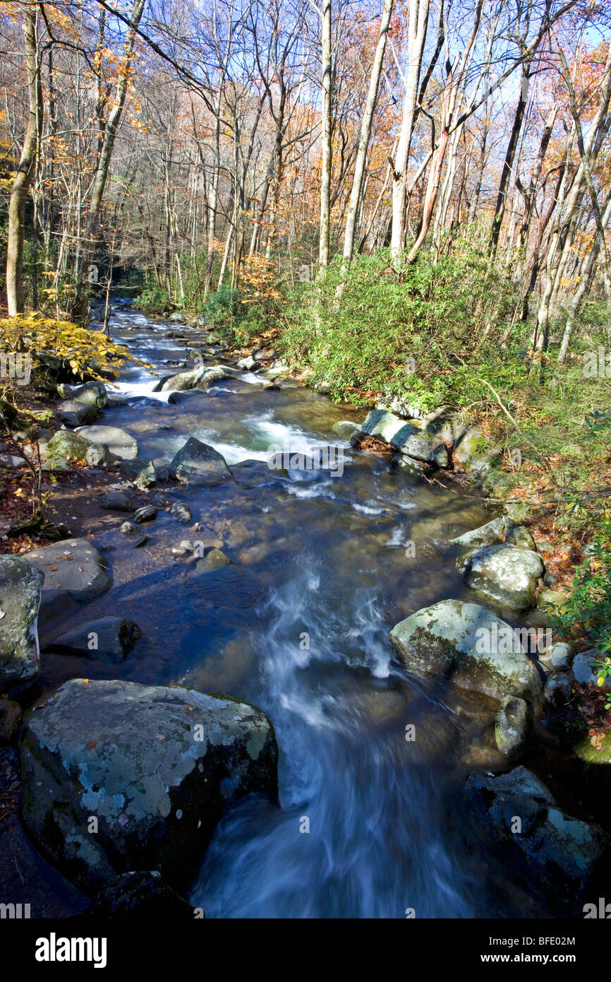 Creek, Roaring Fork Motor Nature Trail, Great Smoky Mountains National ...