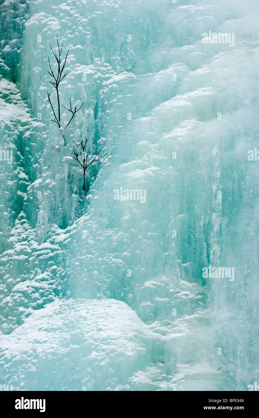 Frozen waterfall, Mount Robson Provincial Park, British Columbia ...