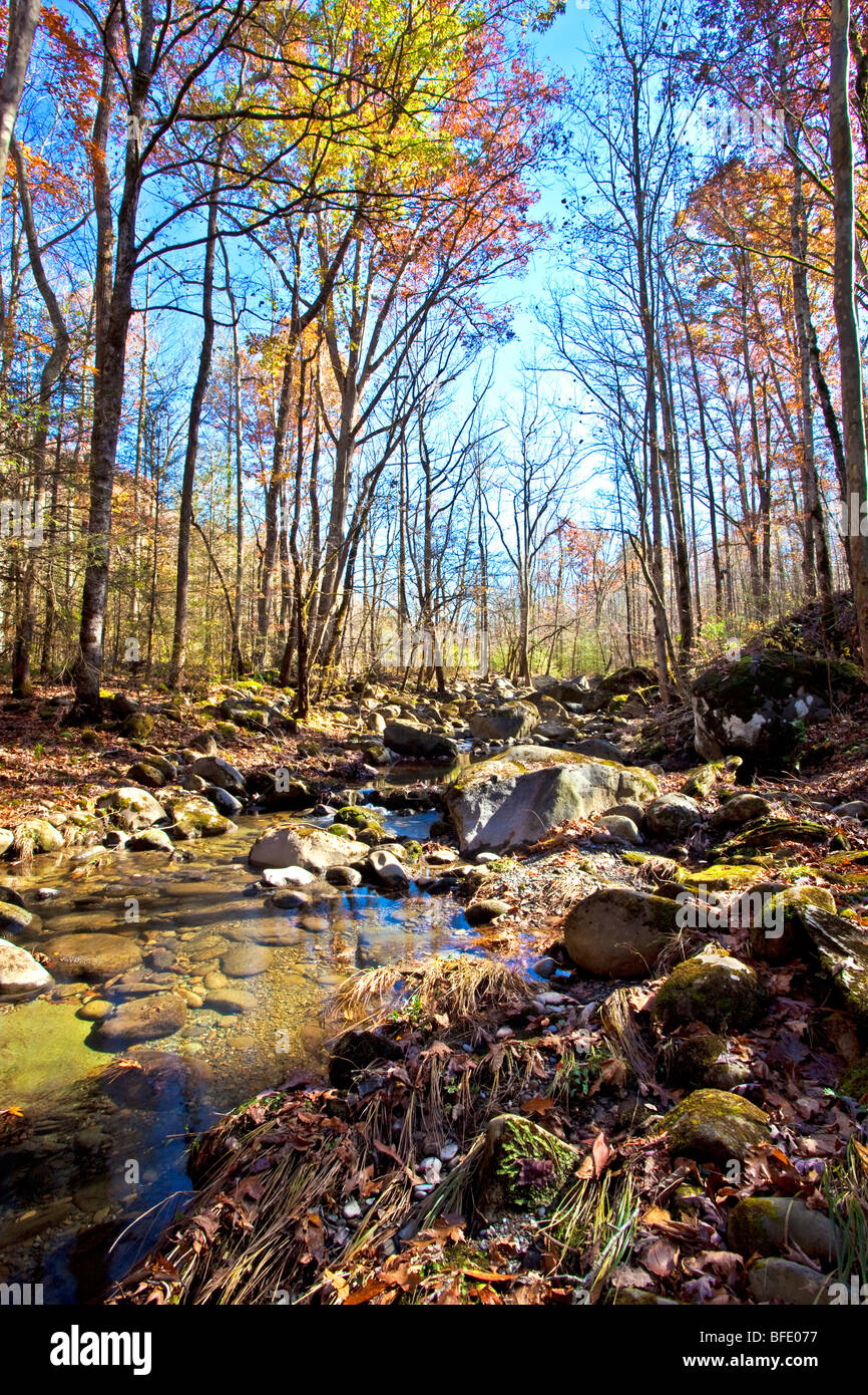 Sidearm of the Little Pigeon River, Great Smoky Mountains National Park ...