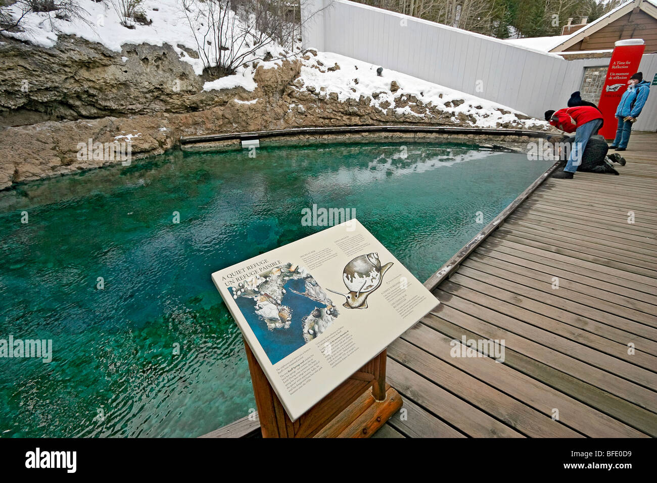 Visitors look at endangered snails in pool at Cave and Basin, Banff's ...