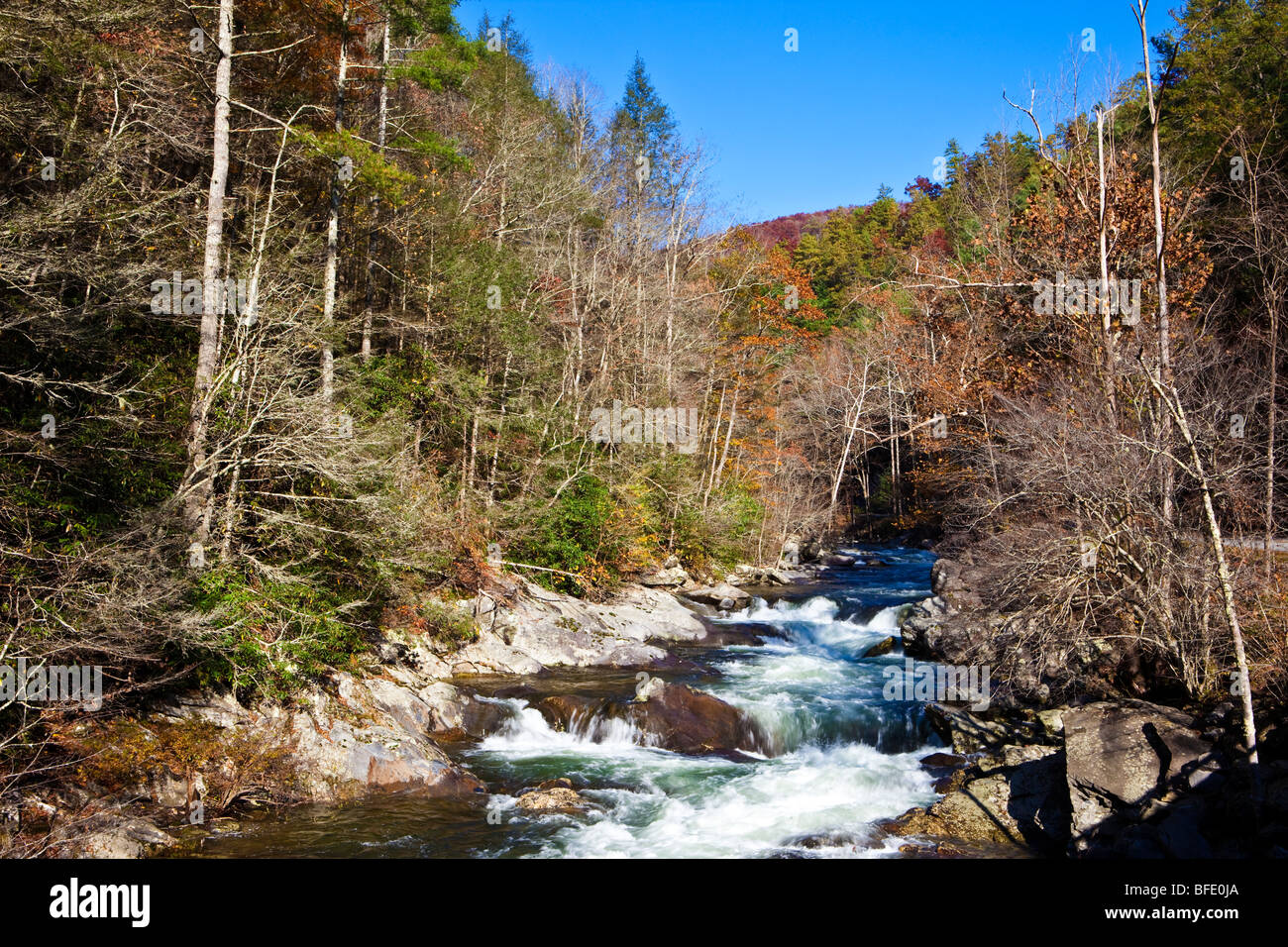 Little River, Great Smoky Mountains National Park, Tennessee Stock ...