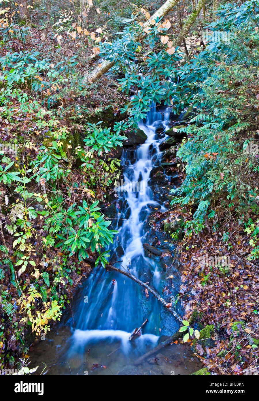 Tributary to the Little River, Great Smoky Mountains National Park ...