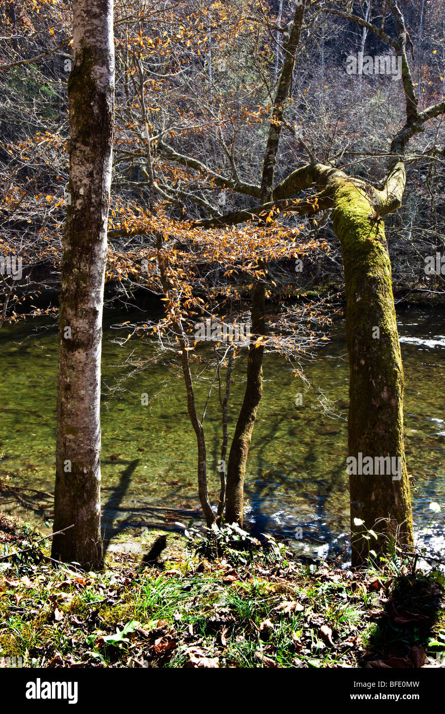 Little River, Great Smoky Mountains National Park, Tennessee Stock ...