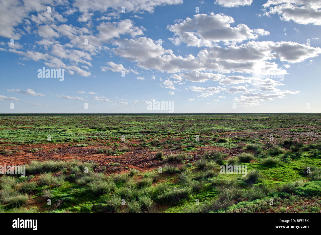 Desert After Rain High Resolution Stock Photography and Images - Alamy