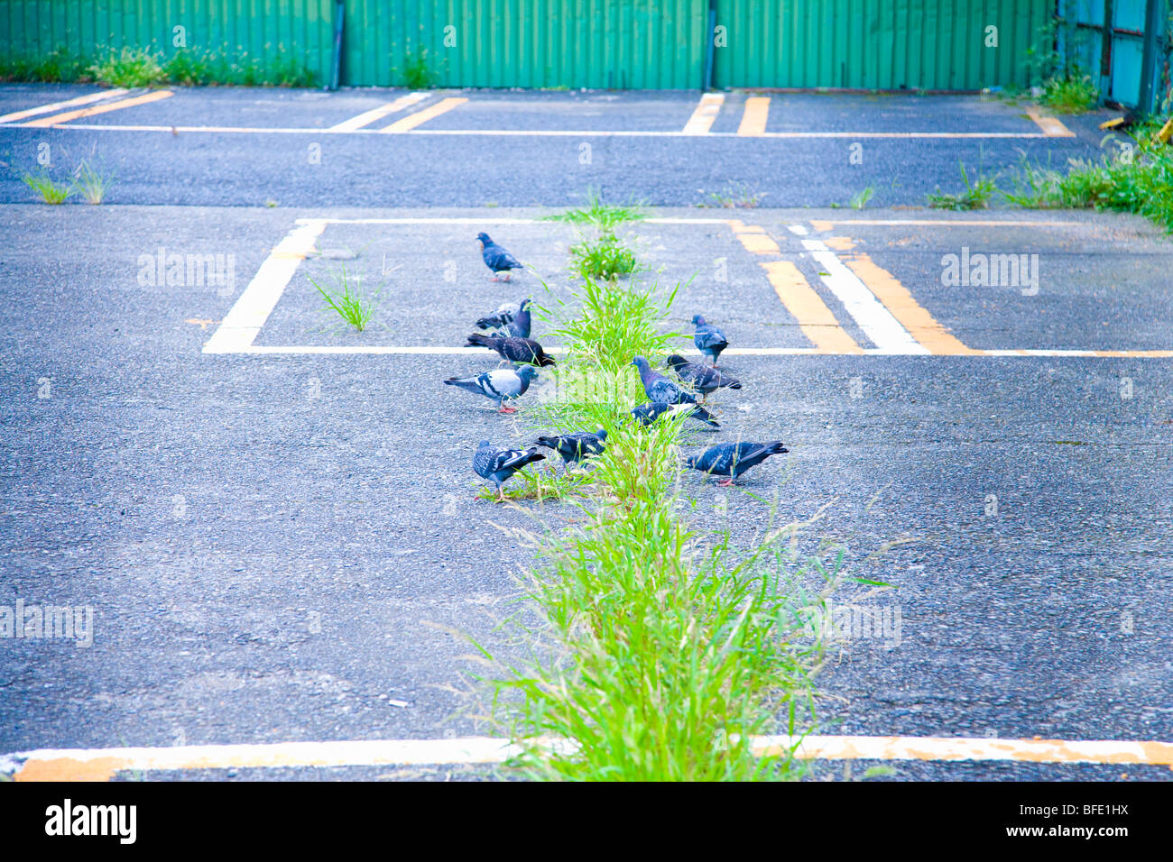 Square a lot of hi-res stock photography and images - Alamy