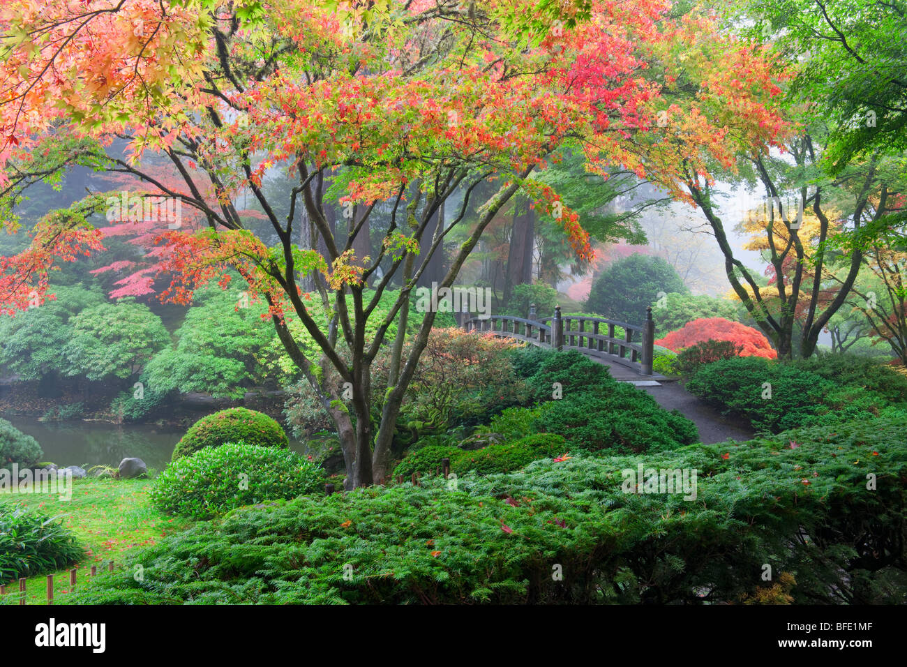 Morning fog lifts to reveal autumn colors around the Moon Bridge at ...