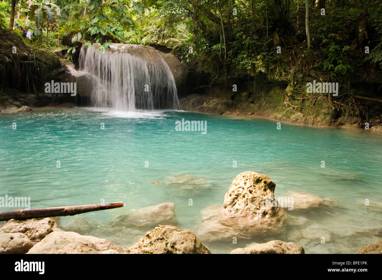 Kawasan Falls in Badian is one of the top natural attraction of Cebu ...