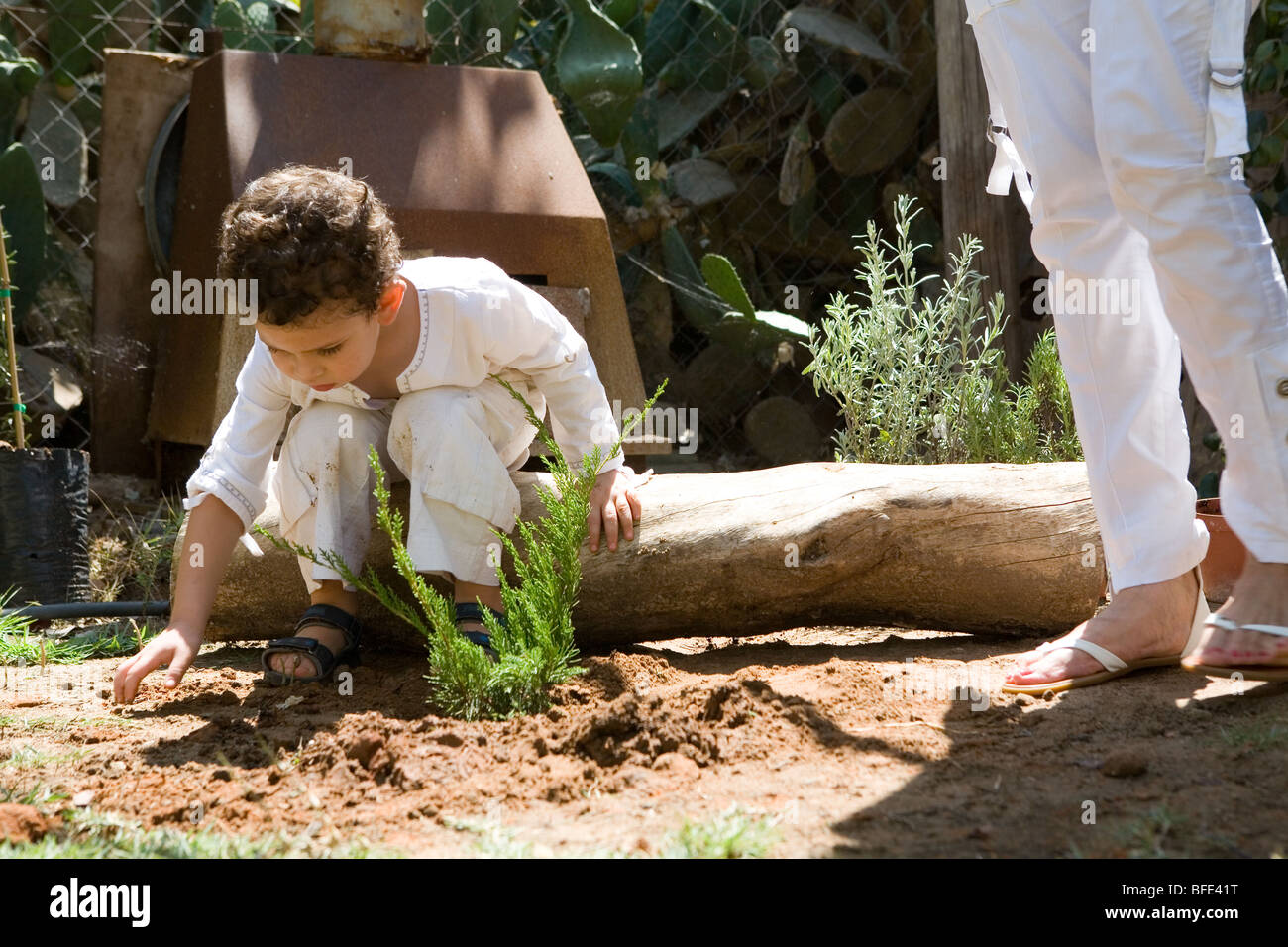 Boy planting tree ground hi-res stock photography and images - Alamy