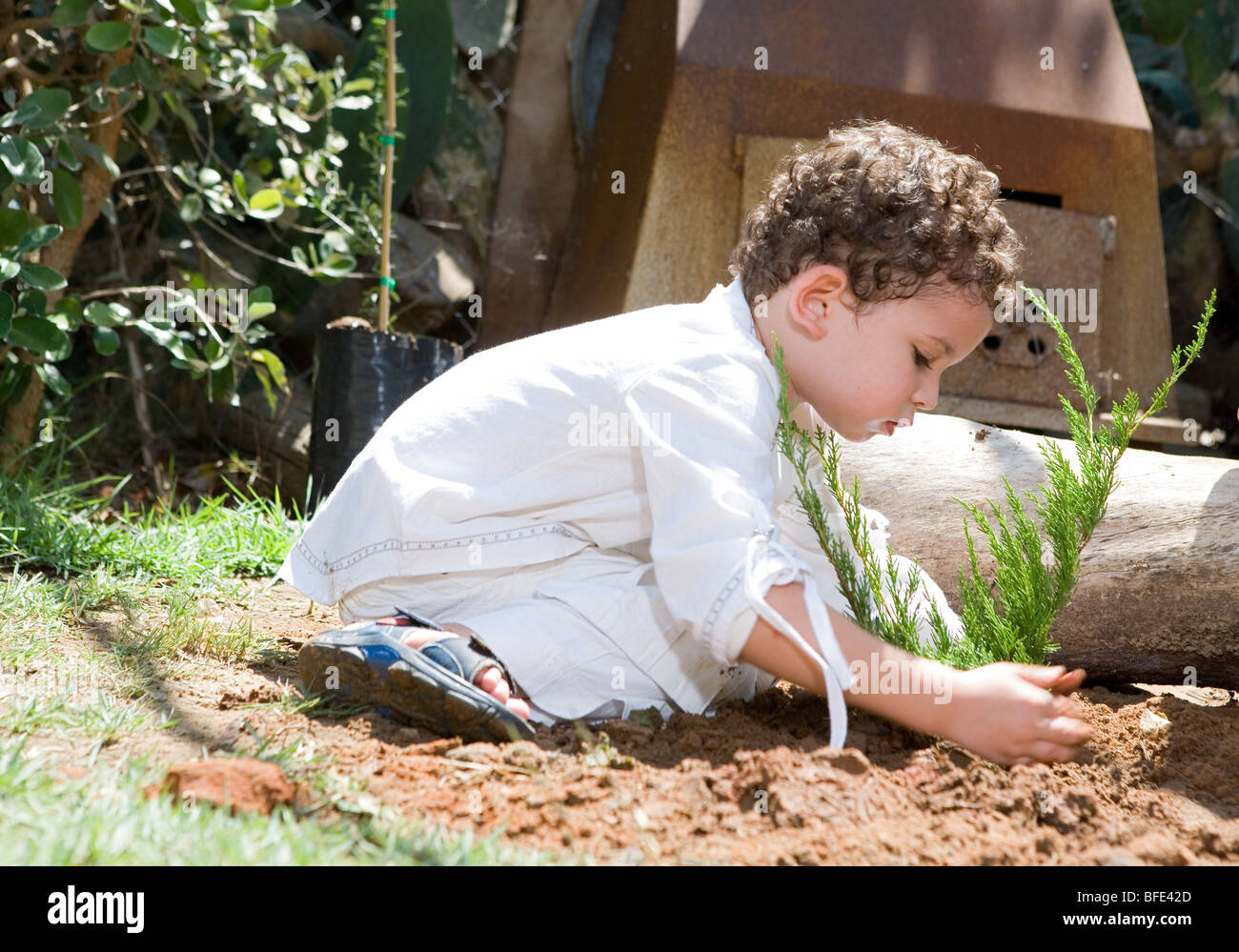 Boy caring for his newly planted tree Stock Photo - Alamy