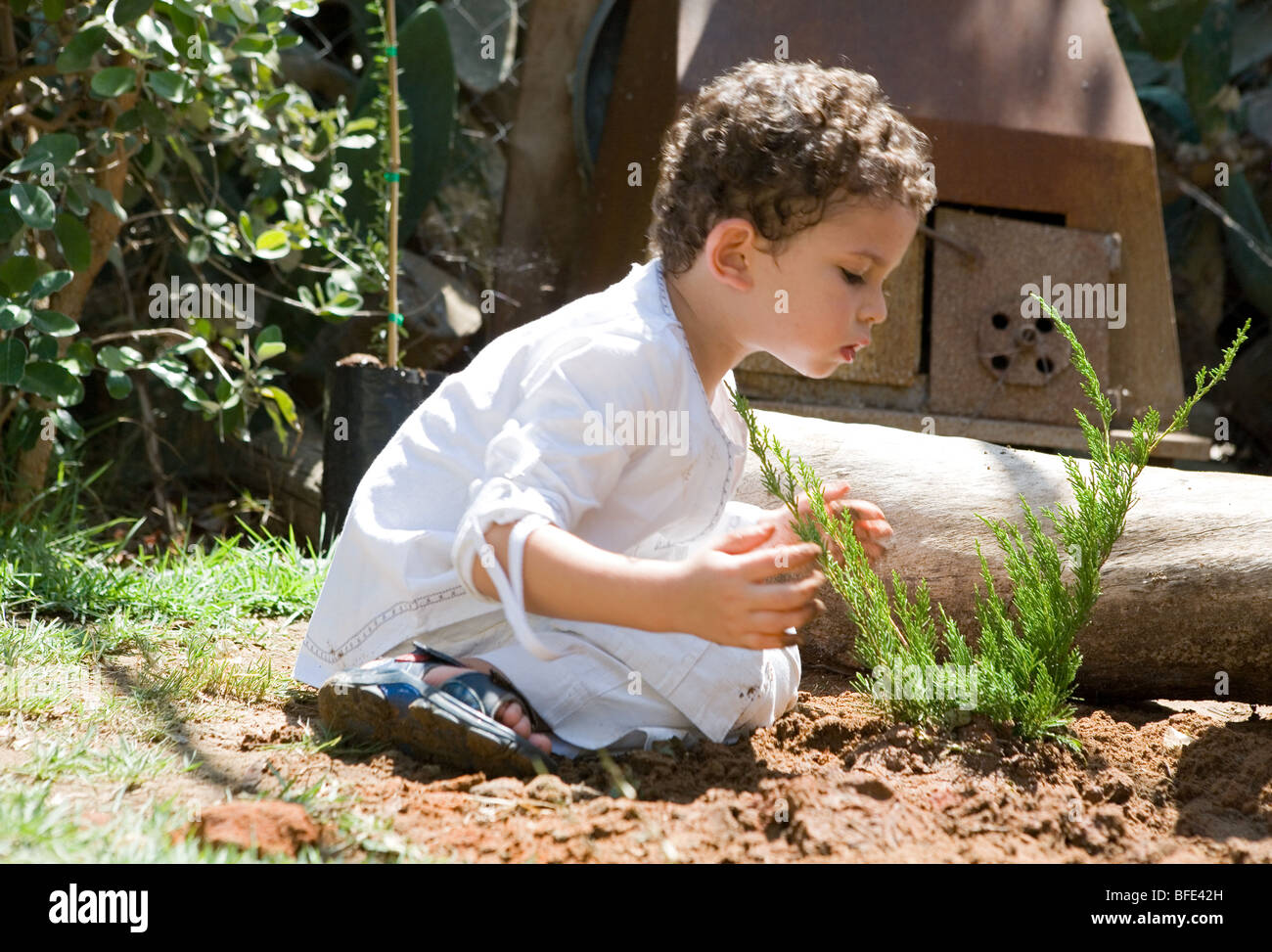 Boy caring for his newly planted tree Stock Photo - Alamy