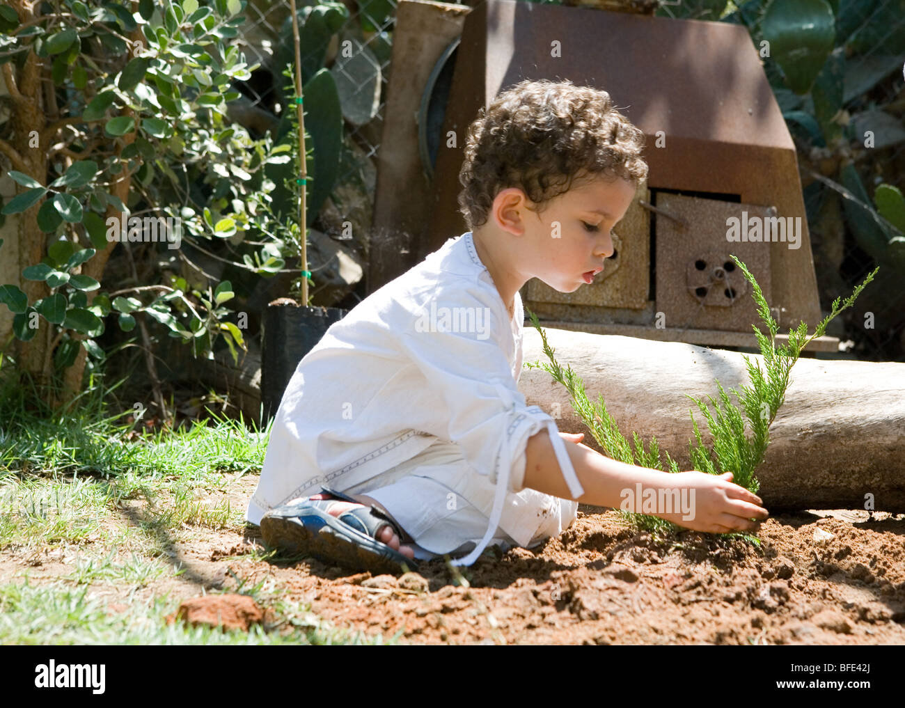 Boy caring for his newly planted tree Stock Photo - Alamy