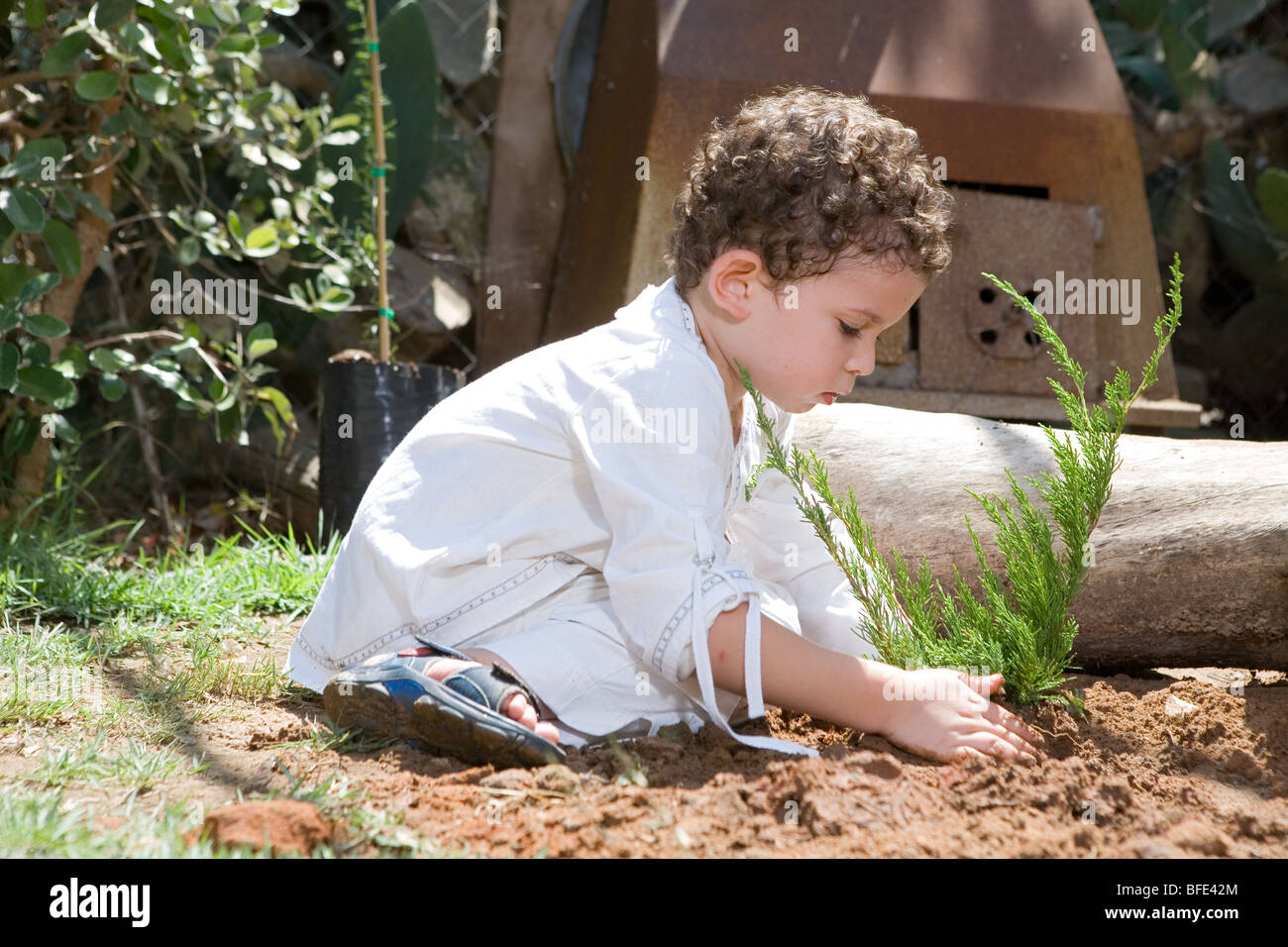 Boy caring for his newly planted tree Stock Photo - Alamy