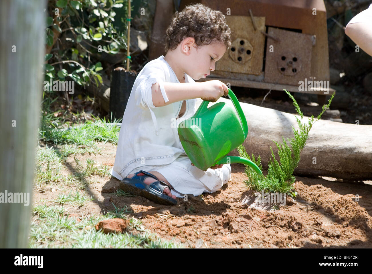 Watering planted tree garden hi-res stock photography and images - Alamy