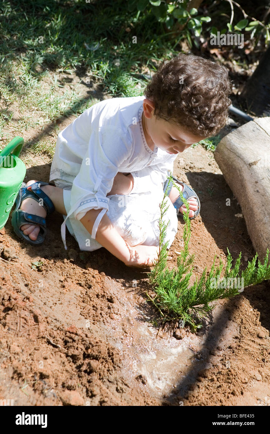 Boy caring for his newly planted tree Stock Photo - Alamy
