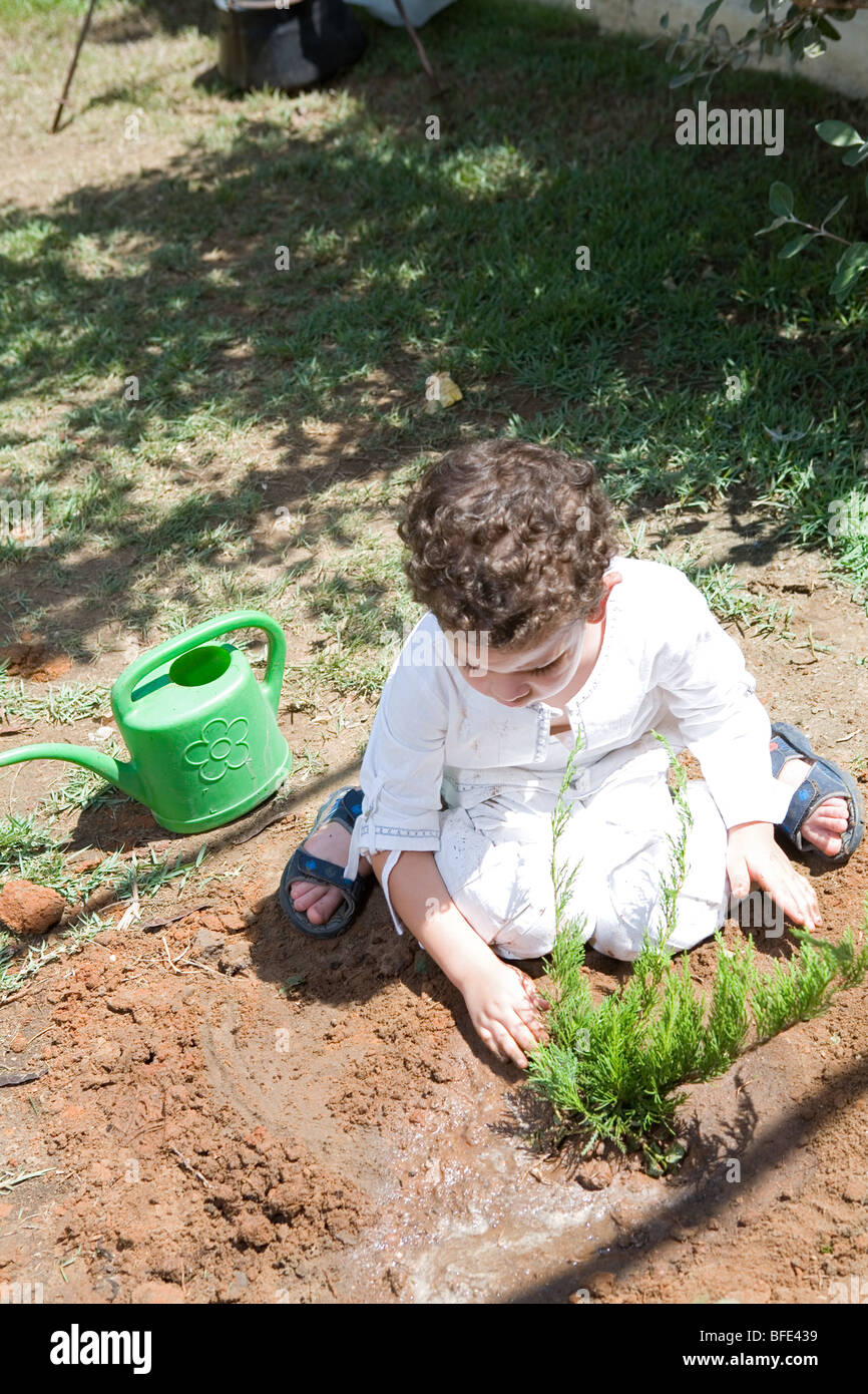 Boy caring for his newly planted tree Stock Photo - Alamy