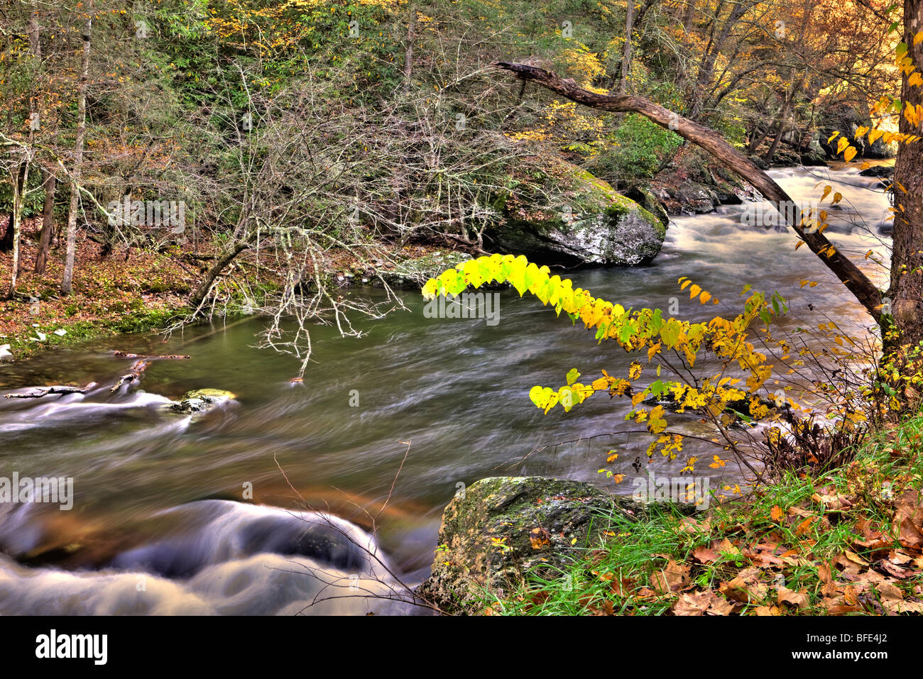 Little River, Great Smoky Mountains National Park, Tennessee Stock ...