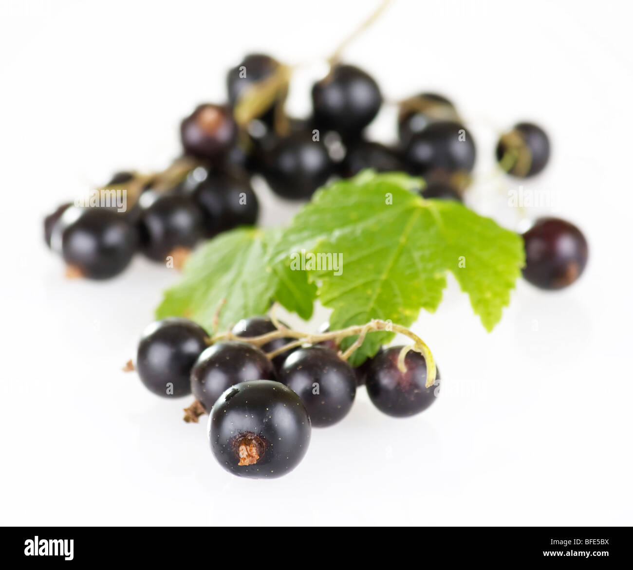 Black currant juice Cut Out Stock Images & Pictures - Alamy