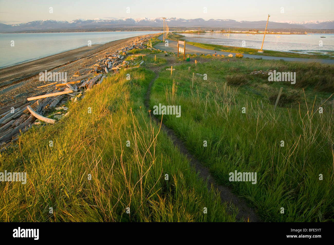 Tall grass and trail along Goose Spit, a popular destination in Comox ...