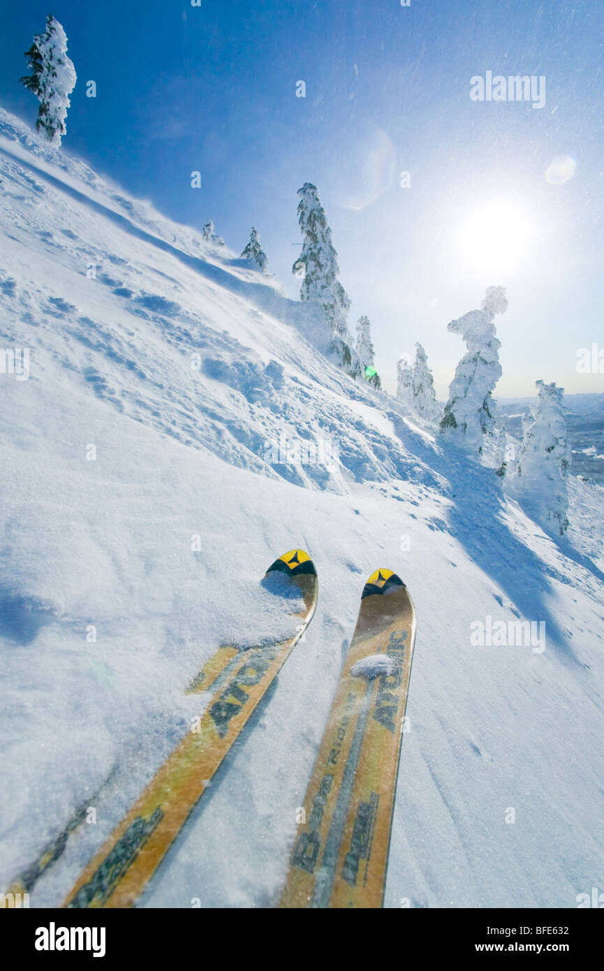 Close-up of skiis and snow encrusted trees typical of terrain at Mount ...