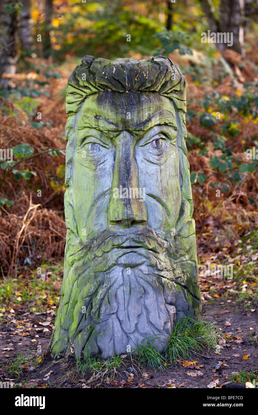 Green man tree carving hi-res stock photography and images - Alamy