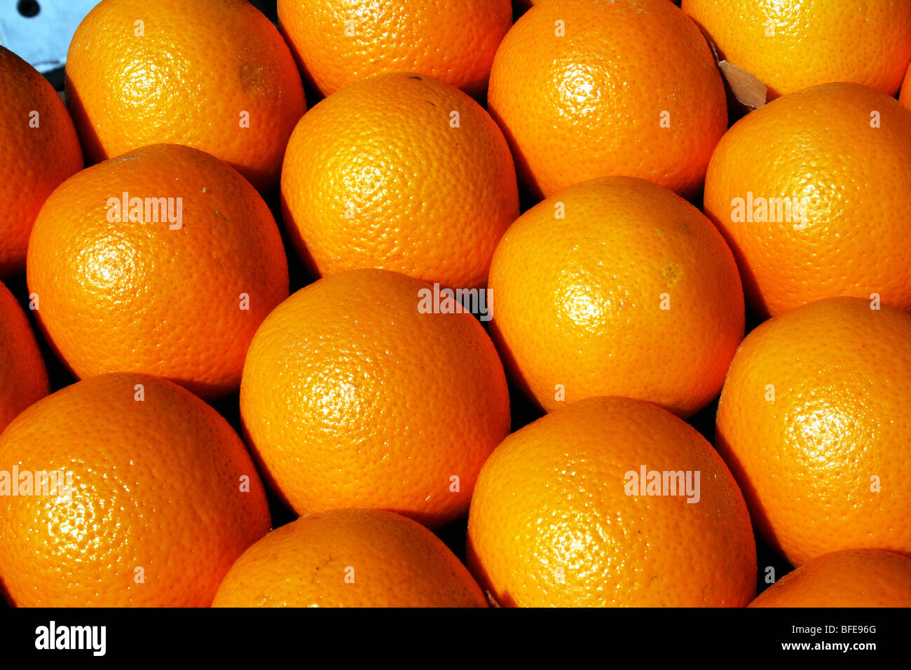Orange Citrus Fruit in the family Rutaceae rich in Vitamin C Stock ...