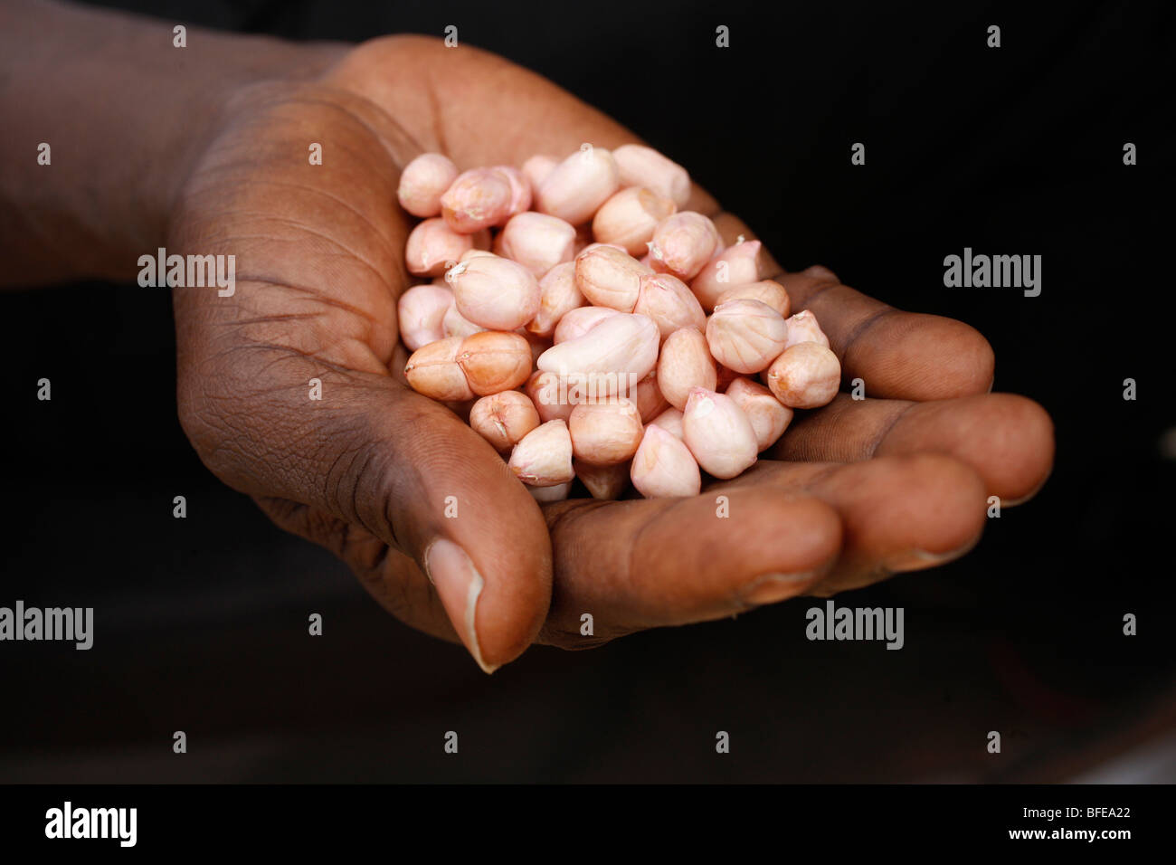 Peanuts senegal hi-res stock photography and images - Alamy