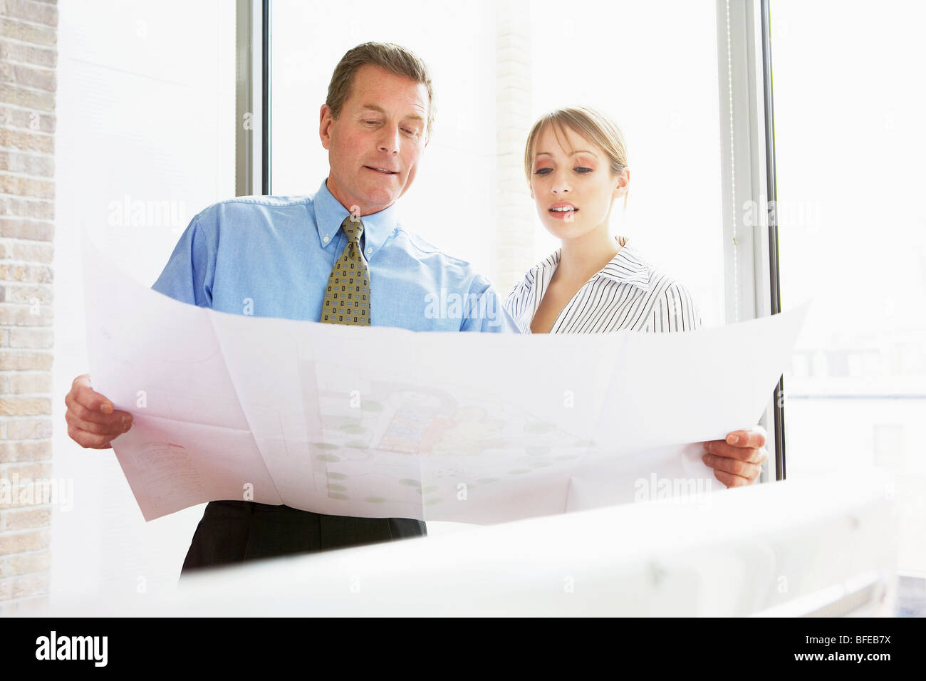 Architects looking at plans Stock Photo - Alamy