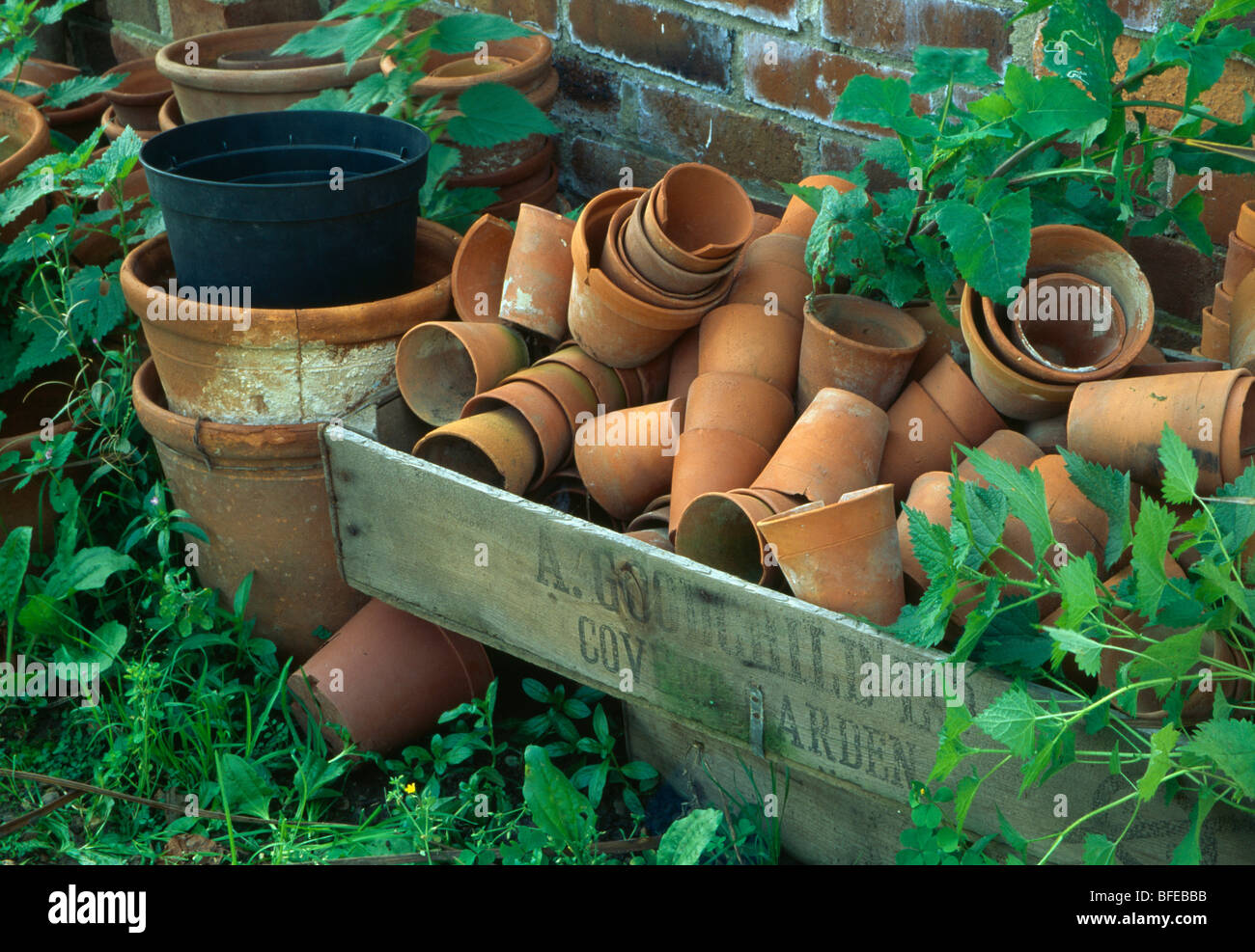 Close up wooden containers boxes hi-res stock photography and images ...
