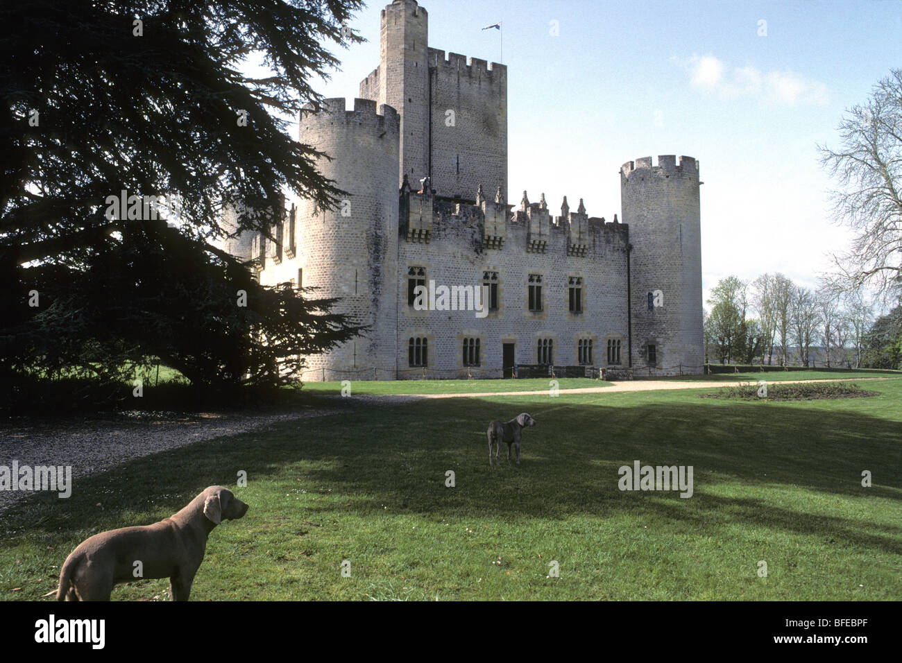 France Aquitaine Gironde ( 33 ) Mazeres Roquetaillade castle (11th to ...