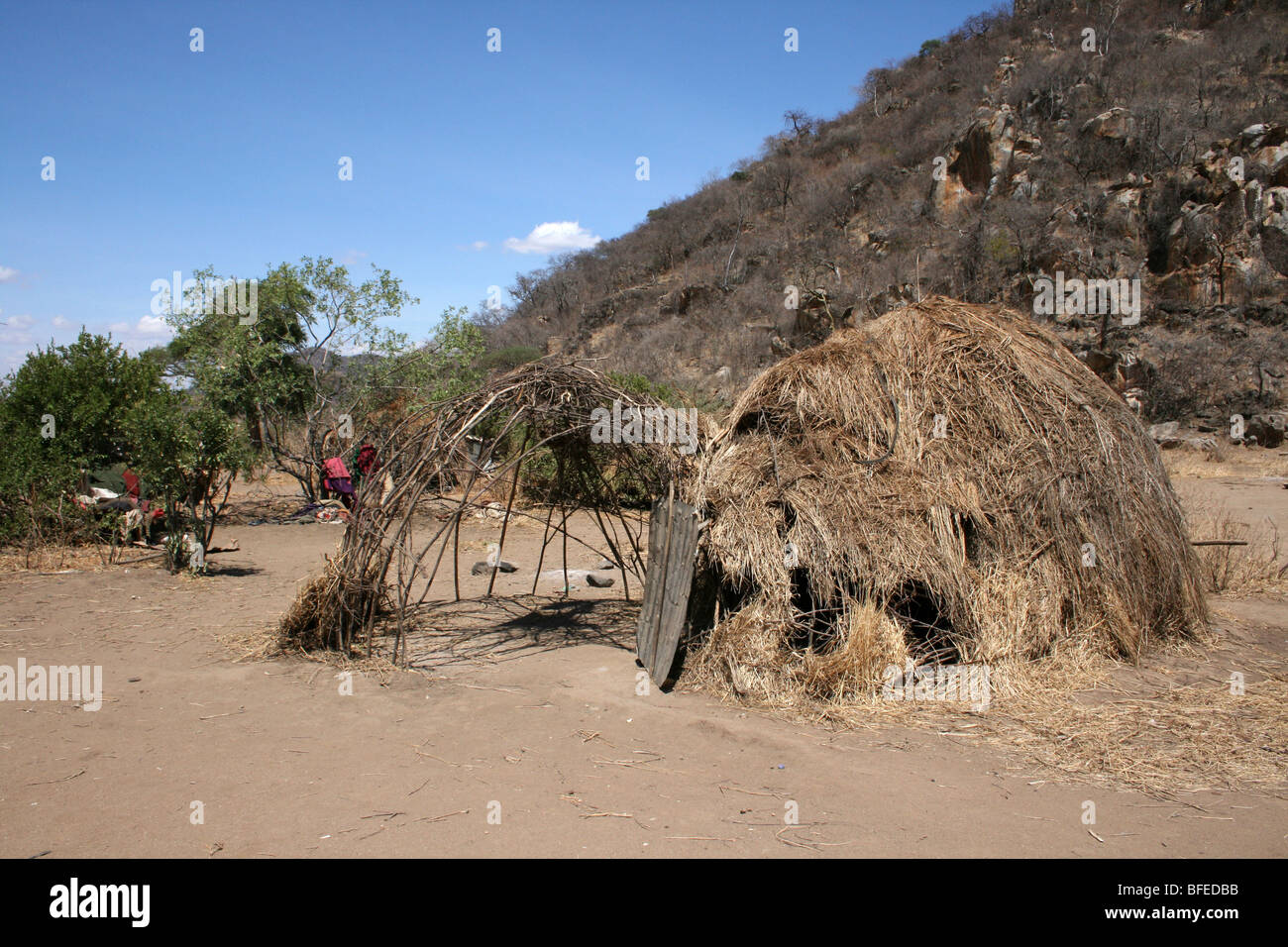 Straw Thatched Homes Of the Hadza Tribe, Taken near Yaeda Chini ...