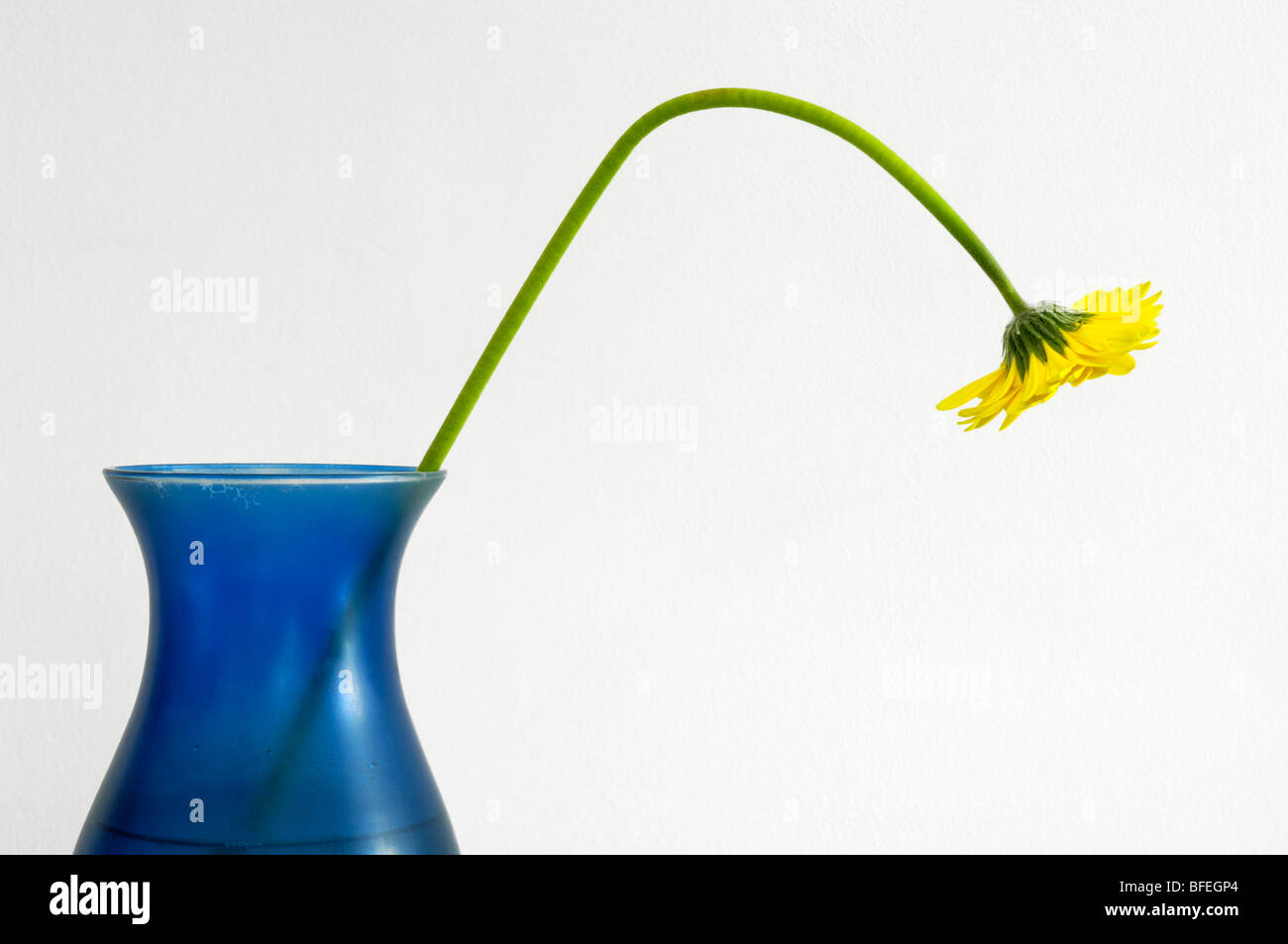 Drooping Stock Photos & Drooping Stock Images - Alamy