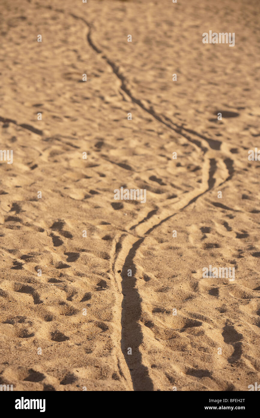 Sand tyre mark hi-res stock photography and images - Alamy