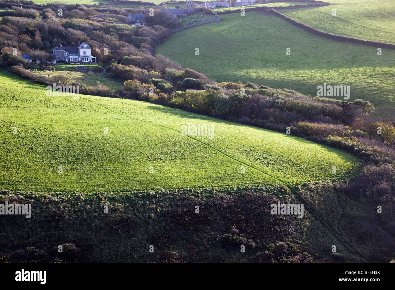 Cleave hi-res stock photography and images - Alamy
