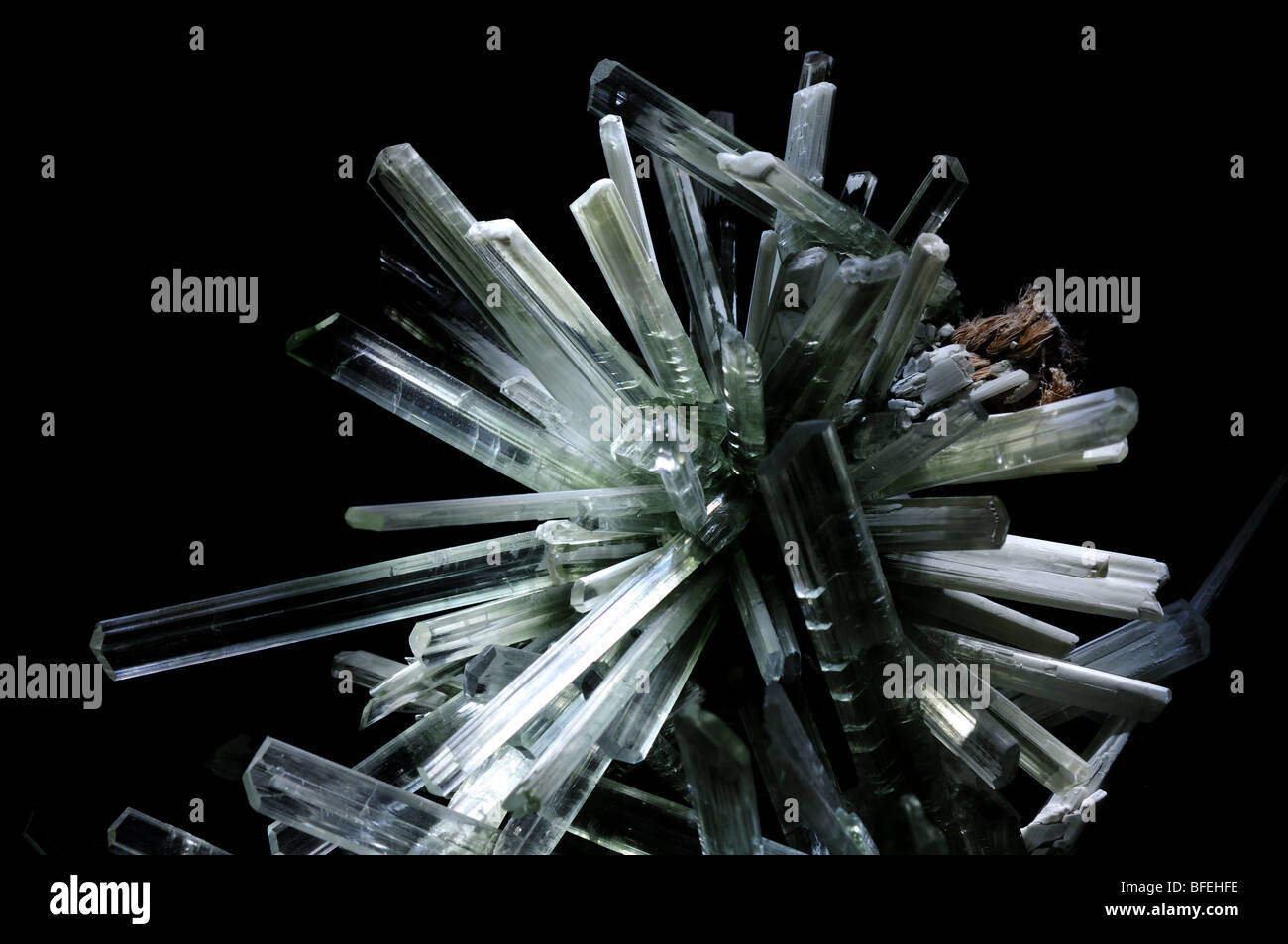 Cluster of gypsum (selenite) crystals Stock Photo - Alamy