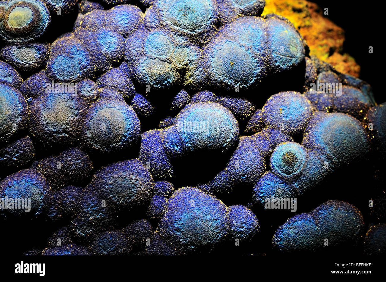 Azurite, copper carbonate Stock Photo - Alamy