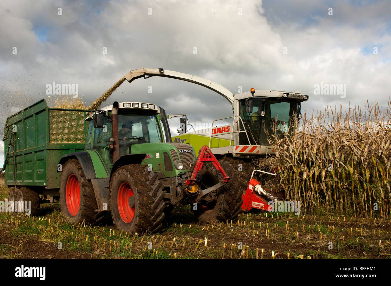 Claas self propelled harvestor harvesting maize silage crop Stock Photo ...