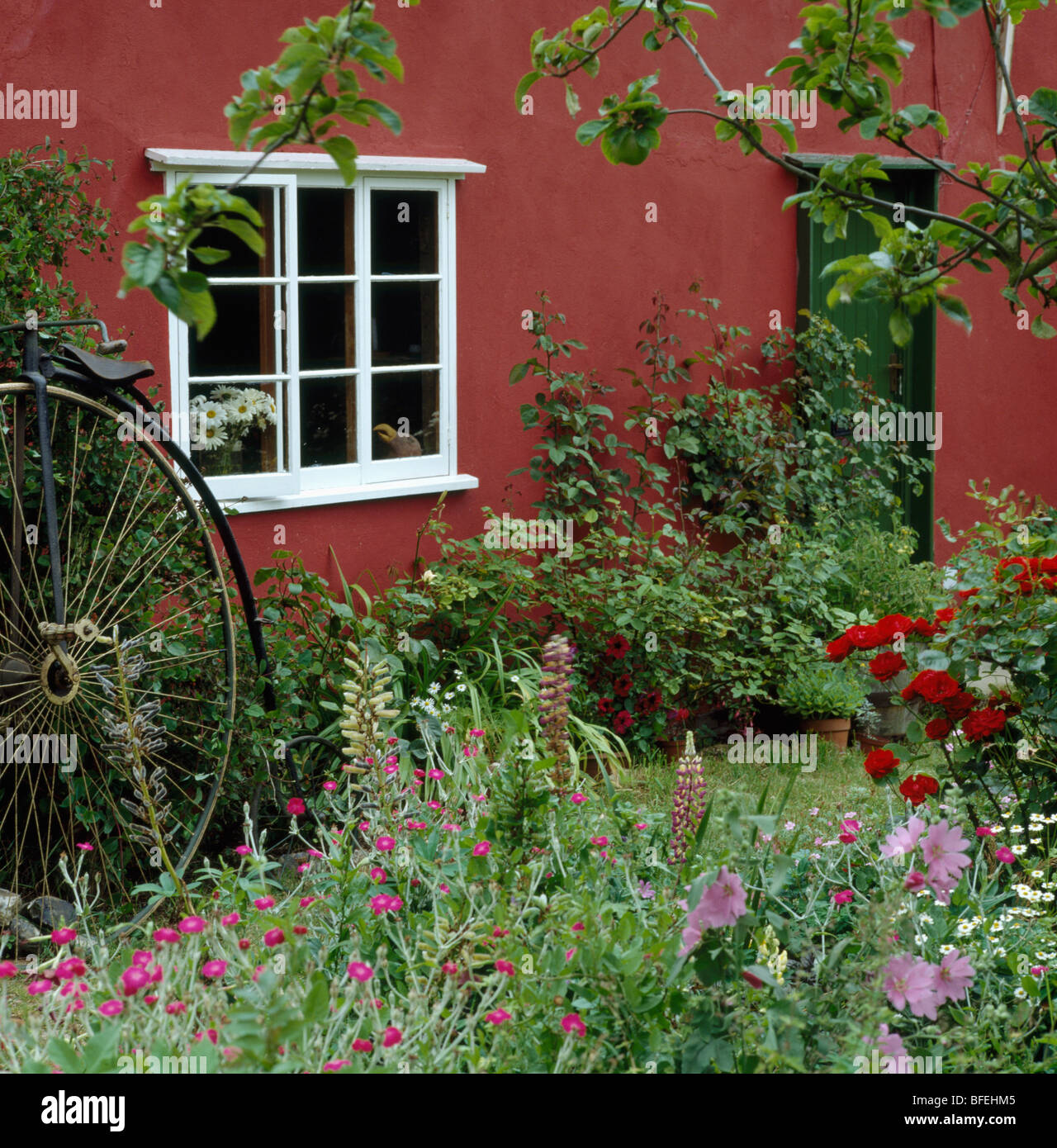 Colourful summer-flowering border below white-painted window in red ...
