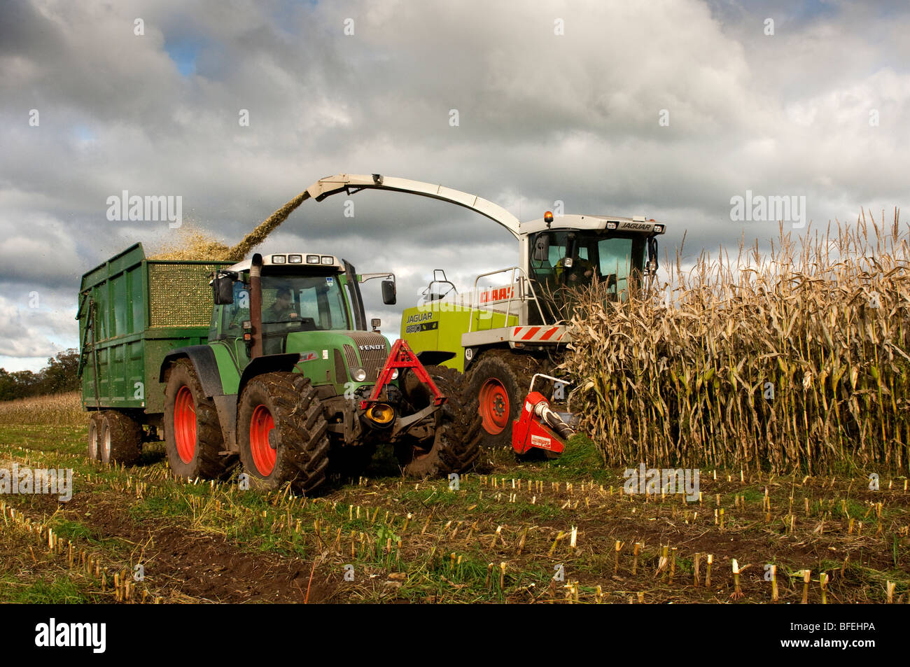 Claas self propelled harvestor harvesting maize silage crop Stock Photo ...