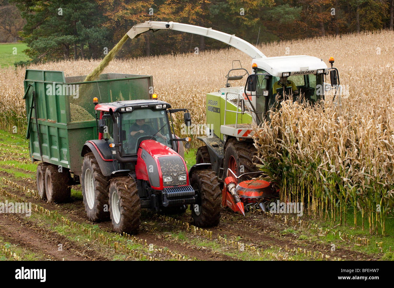 Claas self propelled harvestor harvesting maize silage crop Stock Photo ...