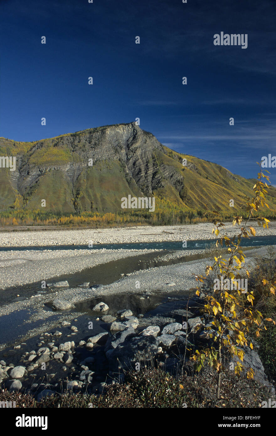 Toad river british columbia hi-res stock photography and images - Alamy