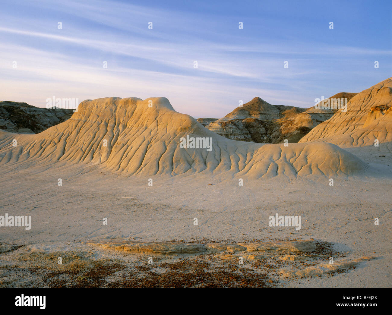 Canada red deer valley alberta hi-res stock photography and images - Alamy