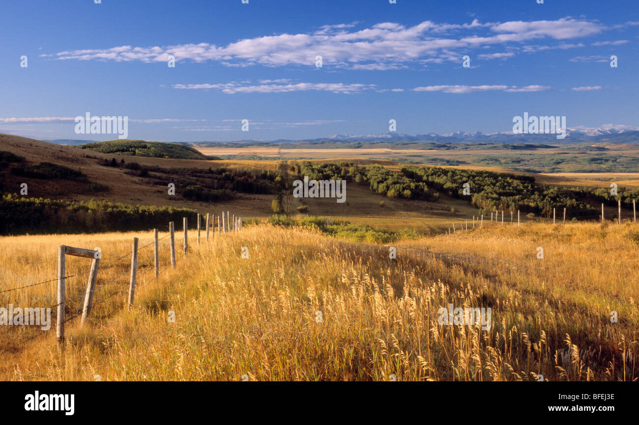 Alberta rural field hi-res stock photography and images - Alamy