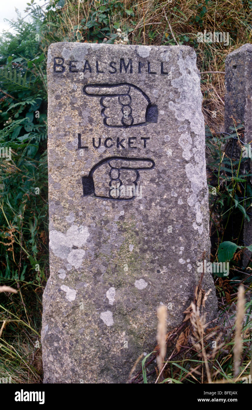 Tamar valley cornwall uk old hi-res stock photography and images - Alamy