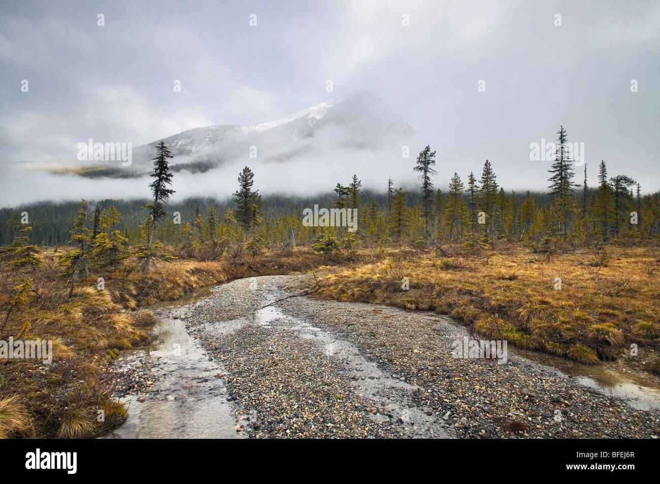 Michael Peak from the Emerald Lake Loop Trail, Yoho National Park ...