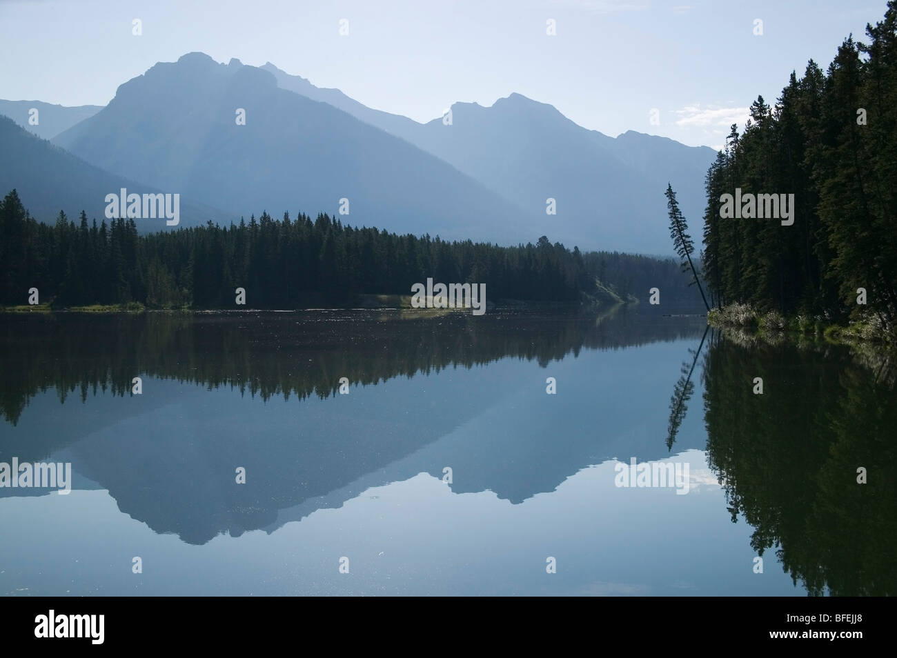 Banff johnson lake trees hi-res stock photography and images - Alamy
